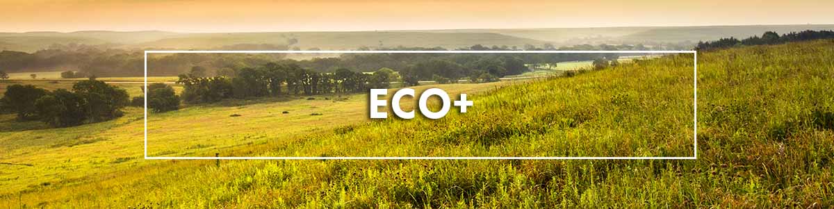 ECO+ - Silveus Crop Insurance